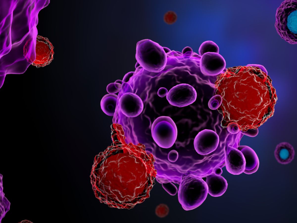 Ascension Saint Thomas Rutherford Hospital named among U.S. News ...